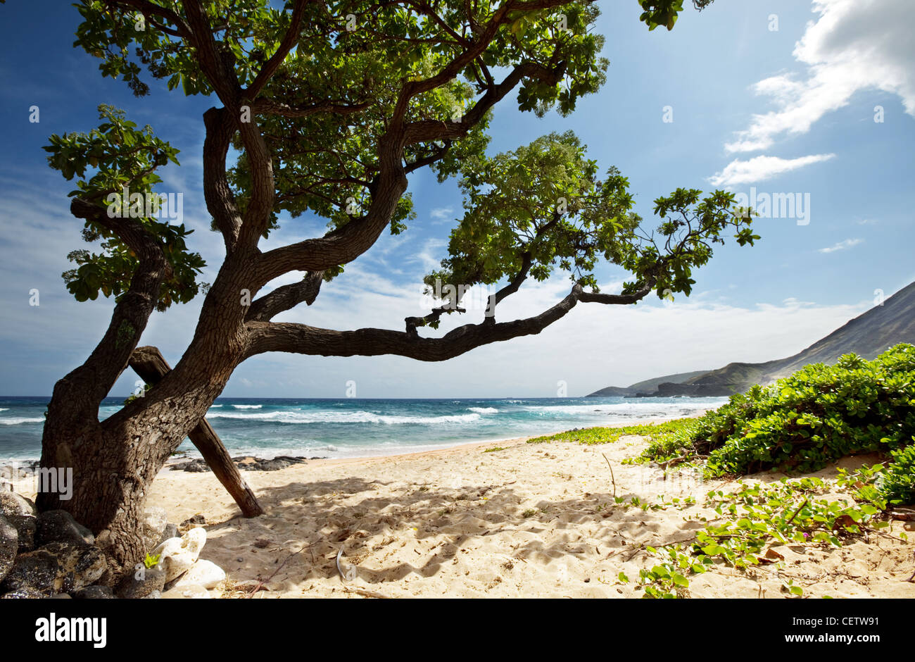 Oahu island hi-res stock photography and images - Alamy