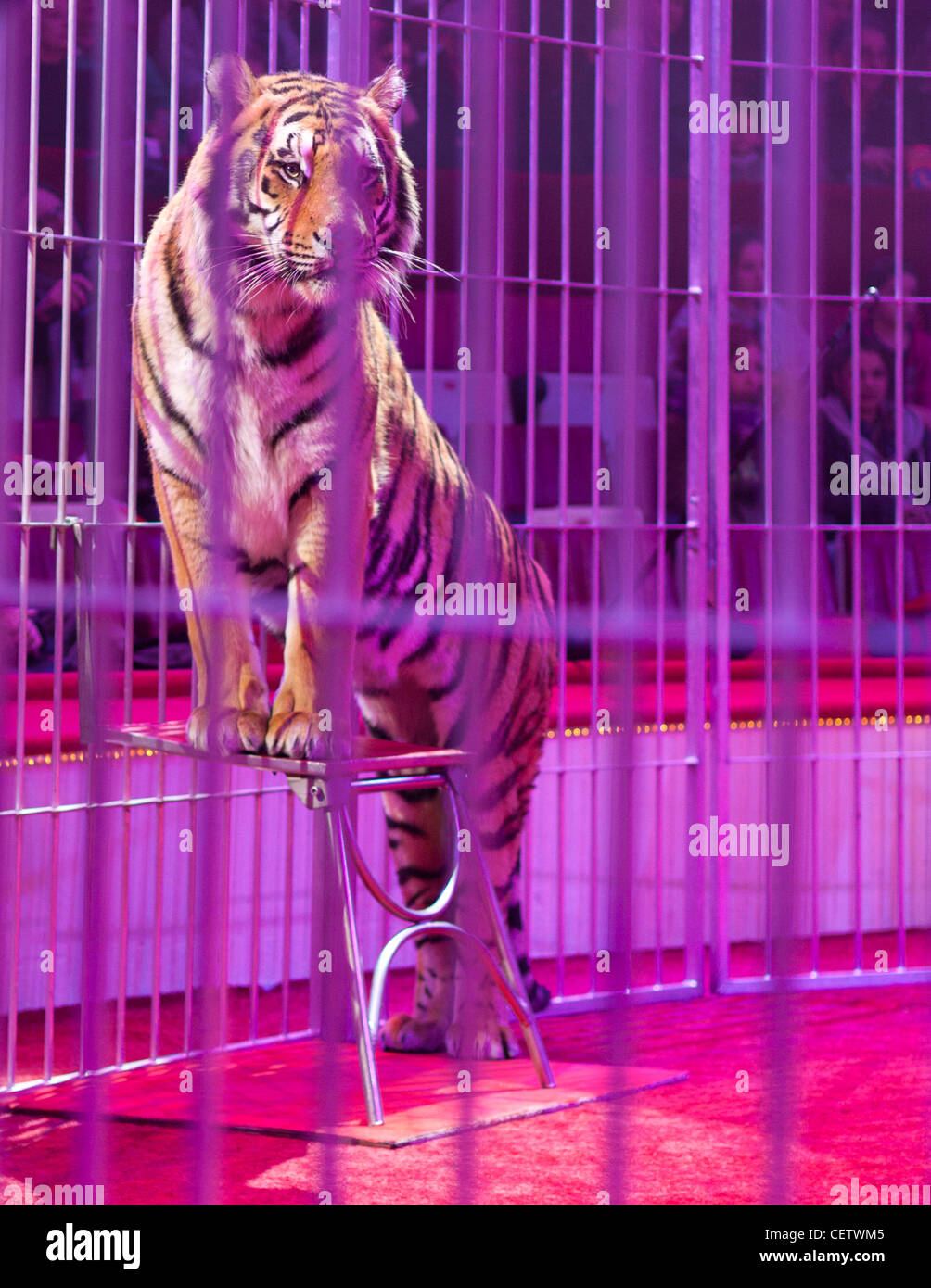 Bouglione show hi-res stock photography and images - Alamy