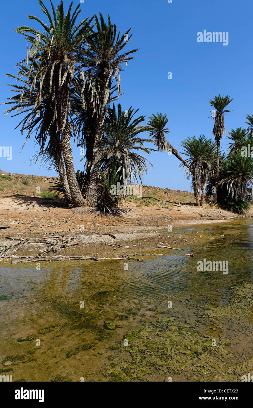 Valley of Rio Norte, Cape Verde Islands Tal des Rio Norte, Boa Vista ...