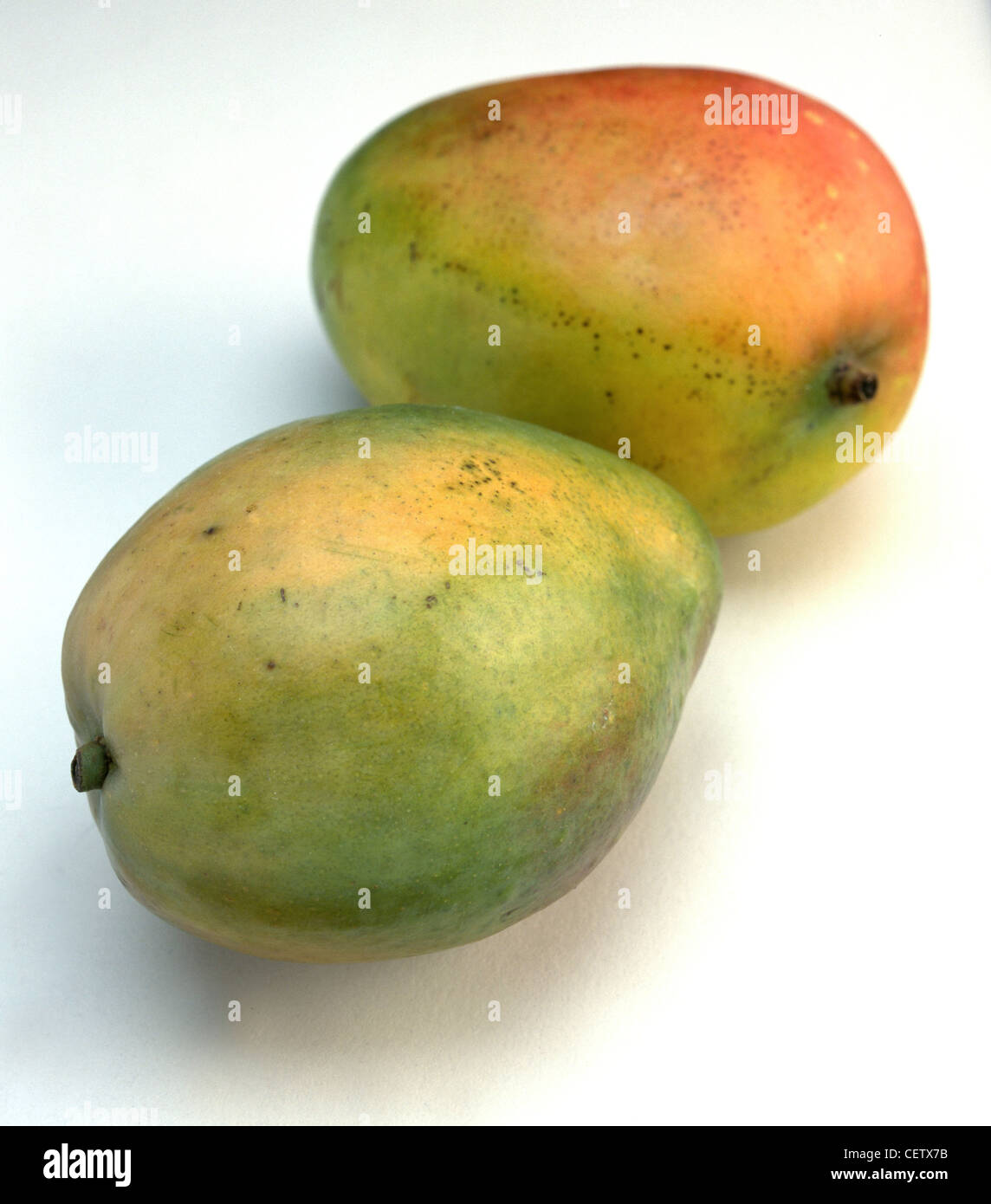 Two mangoes against white background Stock Photo - Alamy