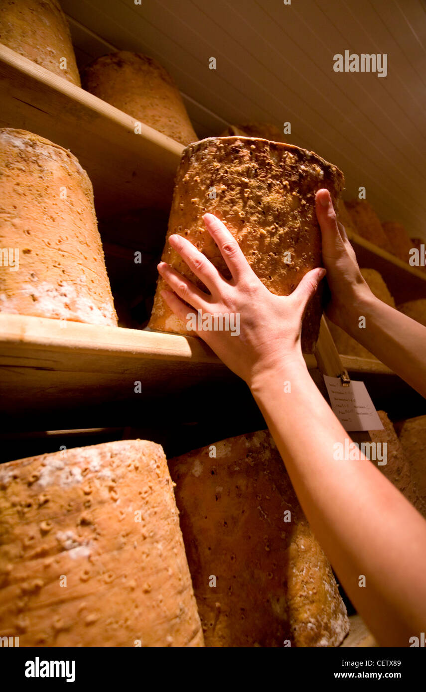 Stichelton High Resolution Stock Photography and Images - Alamy