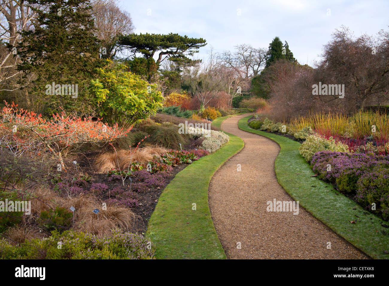 Winter Walk Cambridge University Botanical Gardens Stock Photo - Alamy