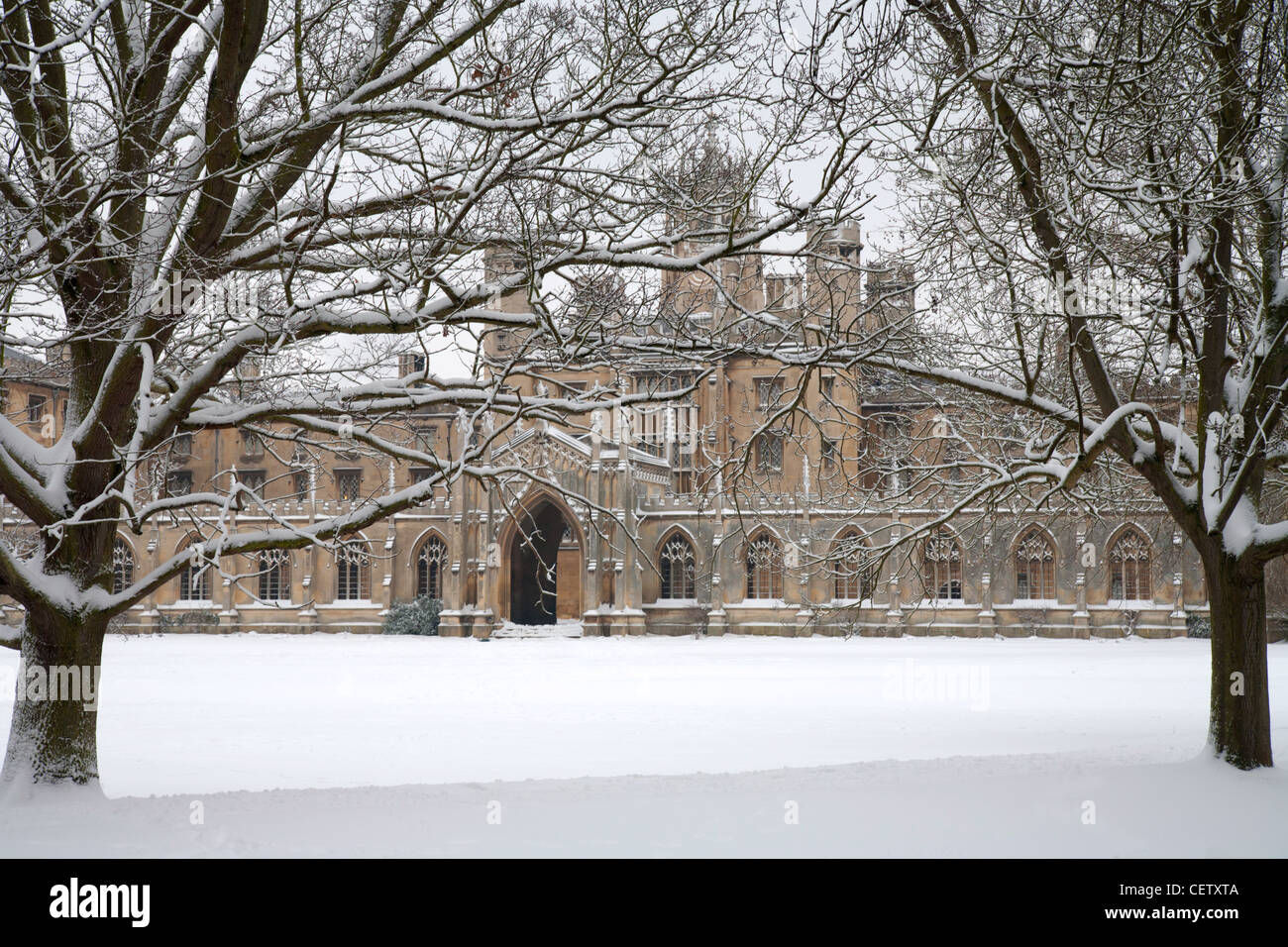 University Of Kentucky Campus Snow