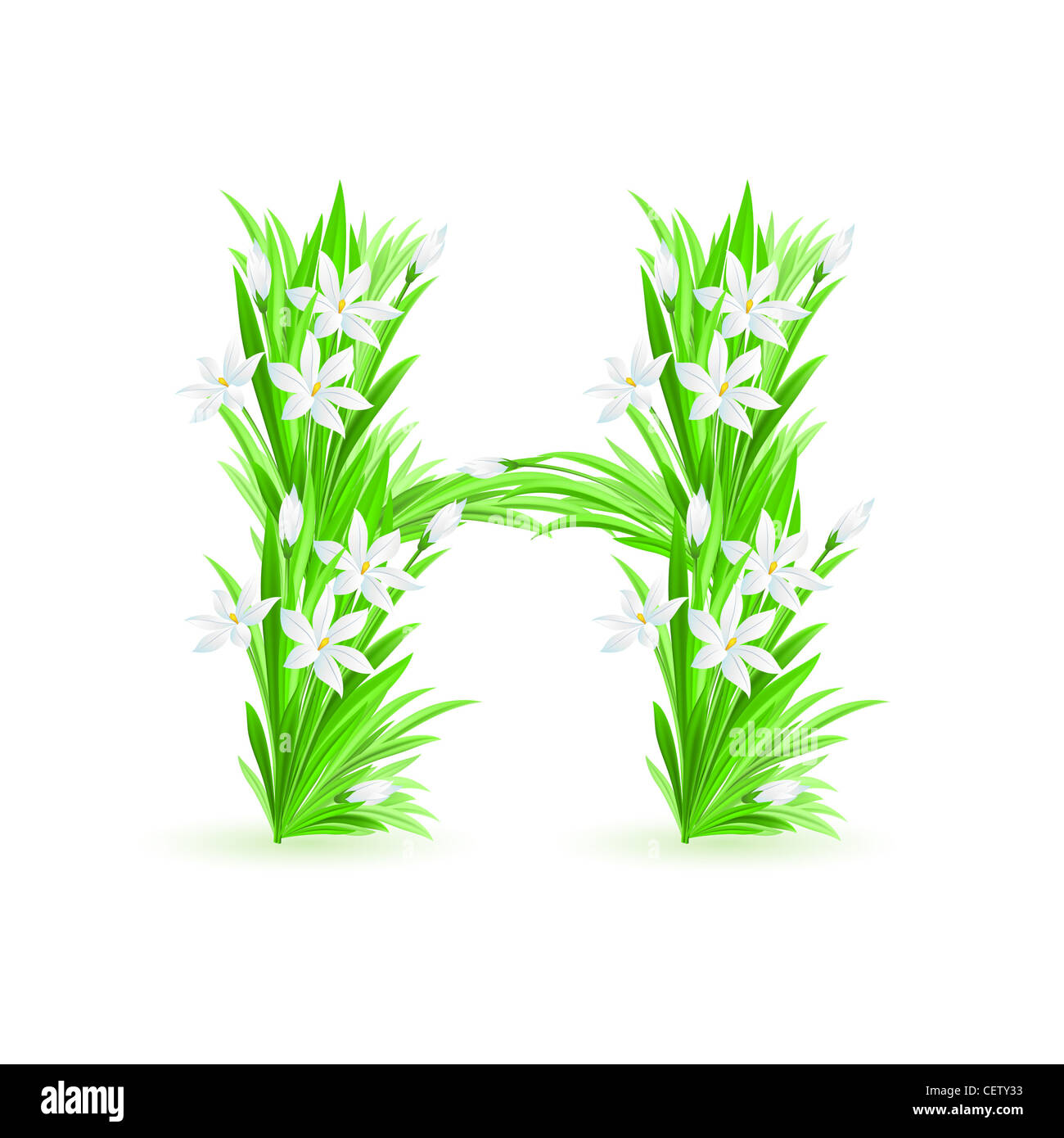 One letter of spring flowers alphabet - H. Illustration on white ...