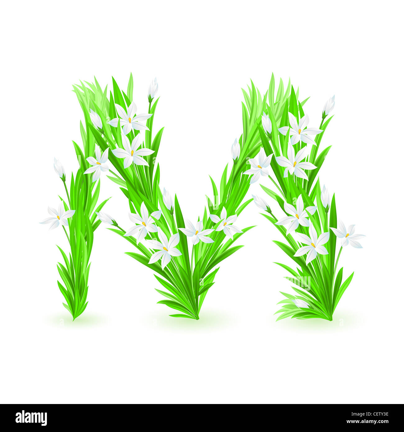 One letter of spring flowers alphabet - M. Illustration on white ...