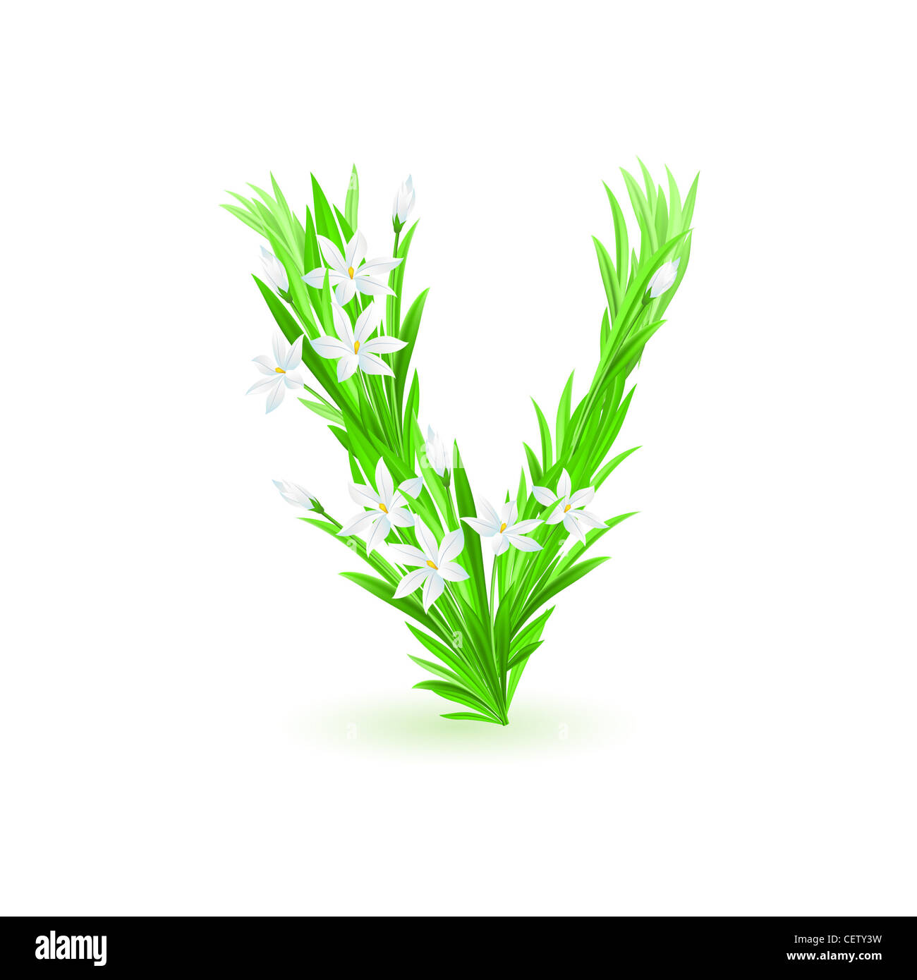 One letter of spring flowers alphabet - V. Illustration on white ...