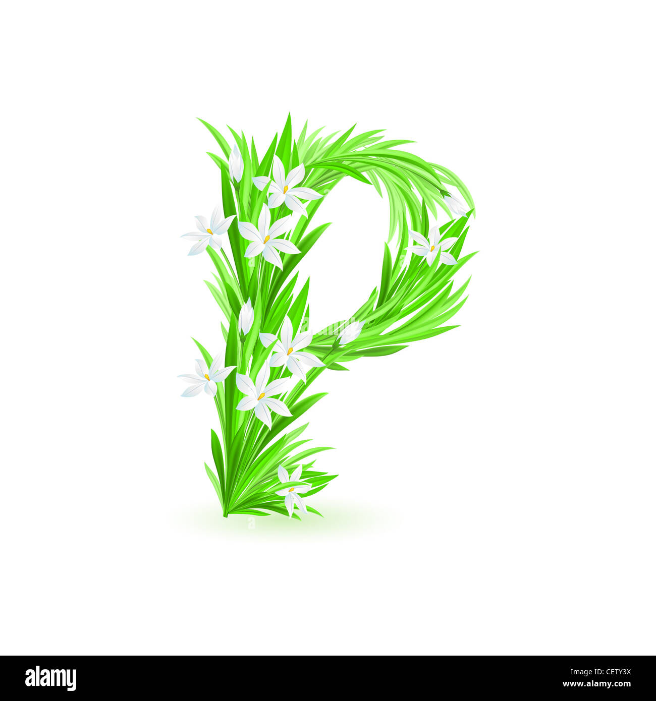One letter of spring flowers alphabet - P. Illustration on white ...