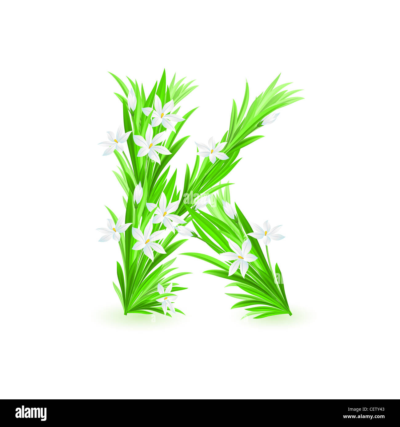 One letter of spring flowers alphabet - K. Illustration on white ...