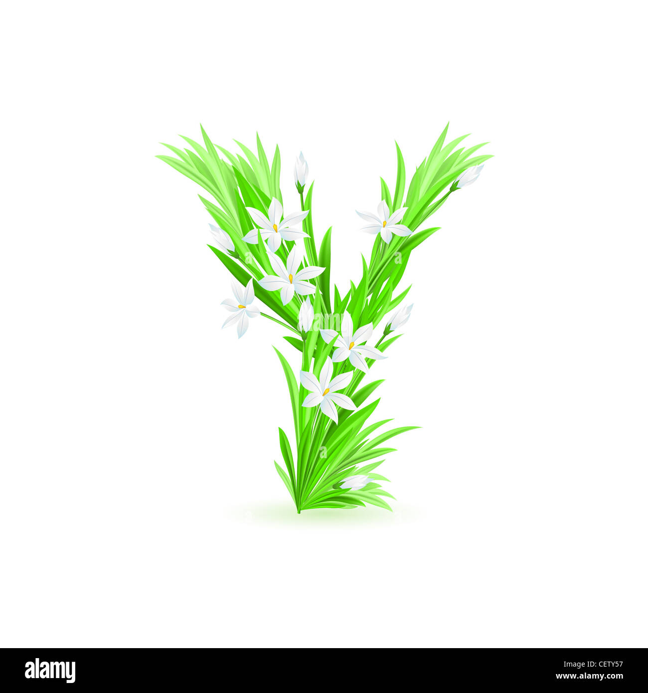 One letter of spring flowers alphabet - Y. Illustration on white ...