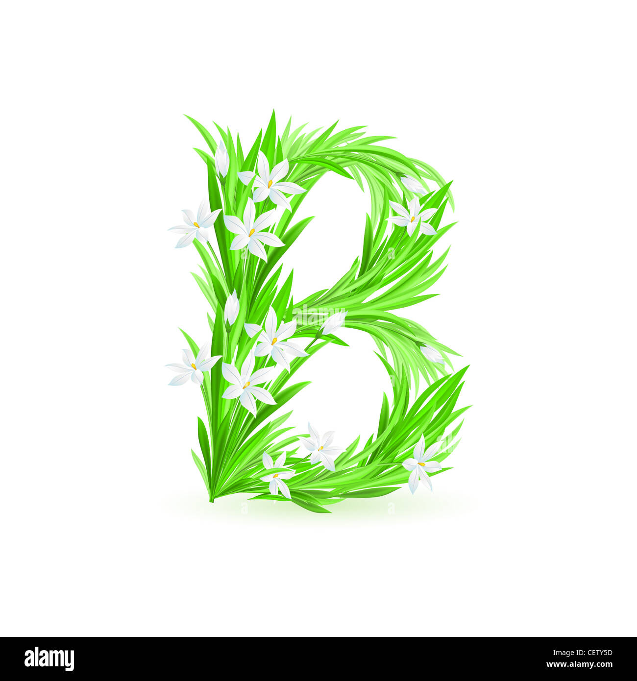 One letter of spring flowers alphabet - B. Illustration on white ...