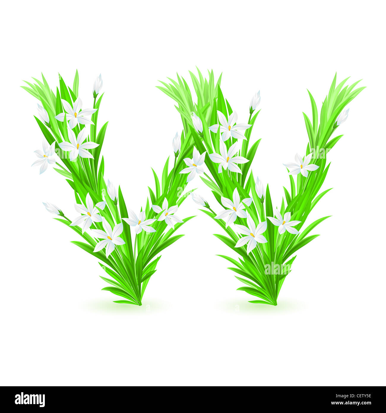 One letter of spring flowers alphabet - W. Illustration on white ...