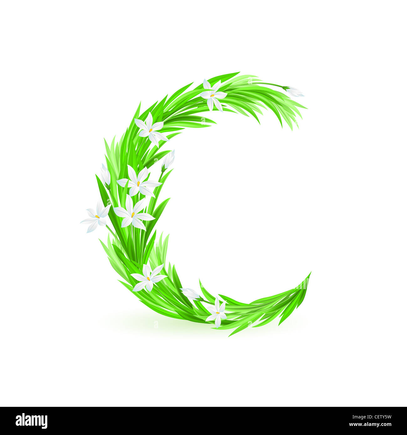 One letter of spring flowers alphabet - C. Illustration on white ...