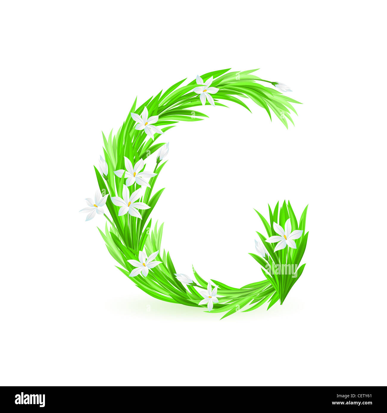 One letter of spring flowers alphabet - G. Illustration on white ...