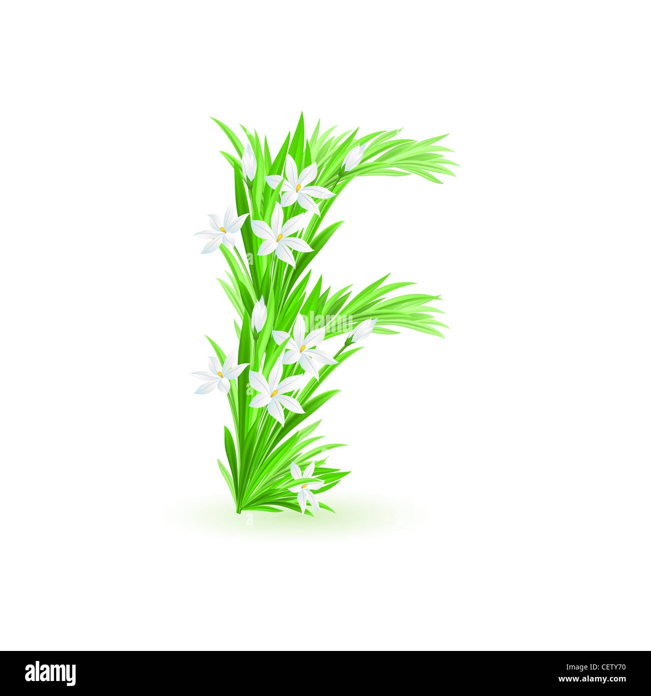 One letter of spring flowers alphabet - F. Illustration on white ...