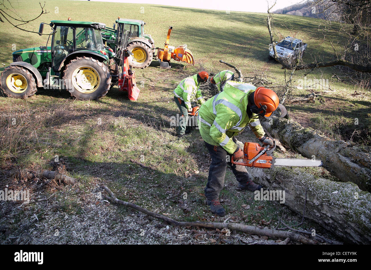 Men with chainsaws, cutting up trees that have fallen in storms,ready ...