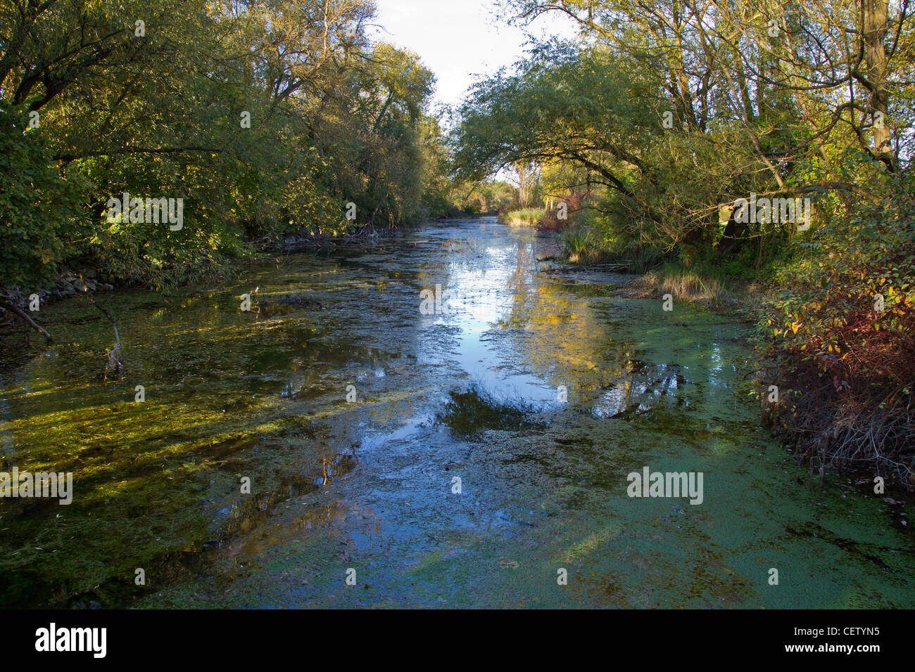 Free fall water hi-res stock photography and images - Alamy