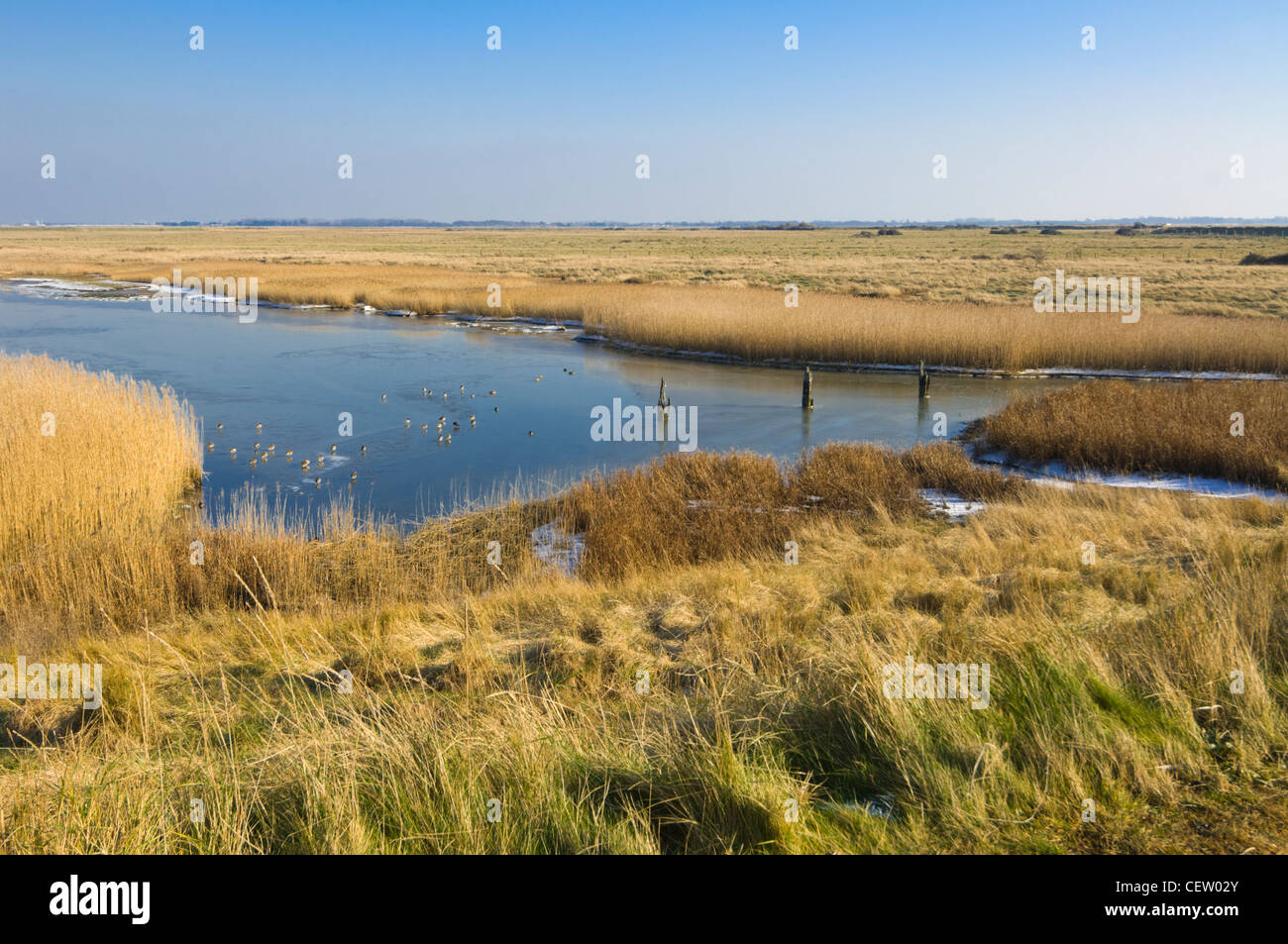 Salt marshes in winter hi-res stock photography and images - Alamy