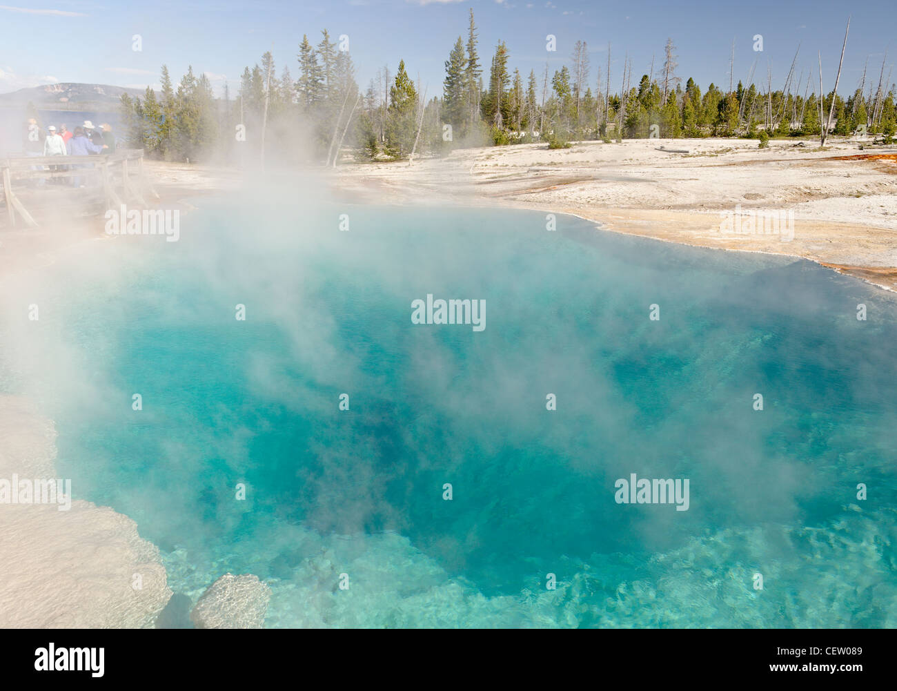 Deadly deep hi-res stock photography and images - Alamy