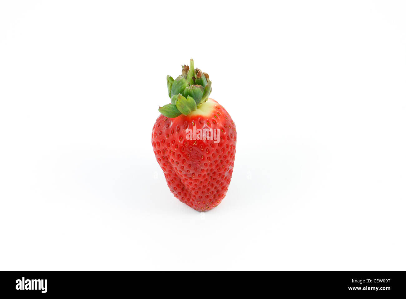 Single whole strawberry on a white background Stock Photo - Alamy
