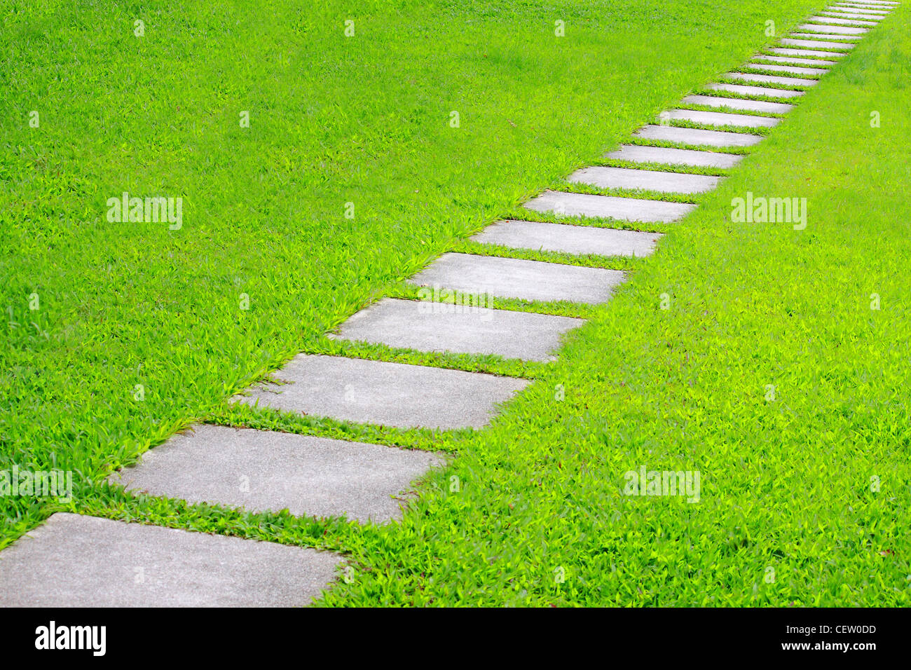 Pathway concept hi-res stock photography and images - Alamy