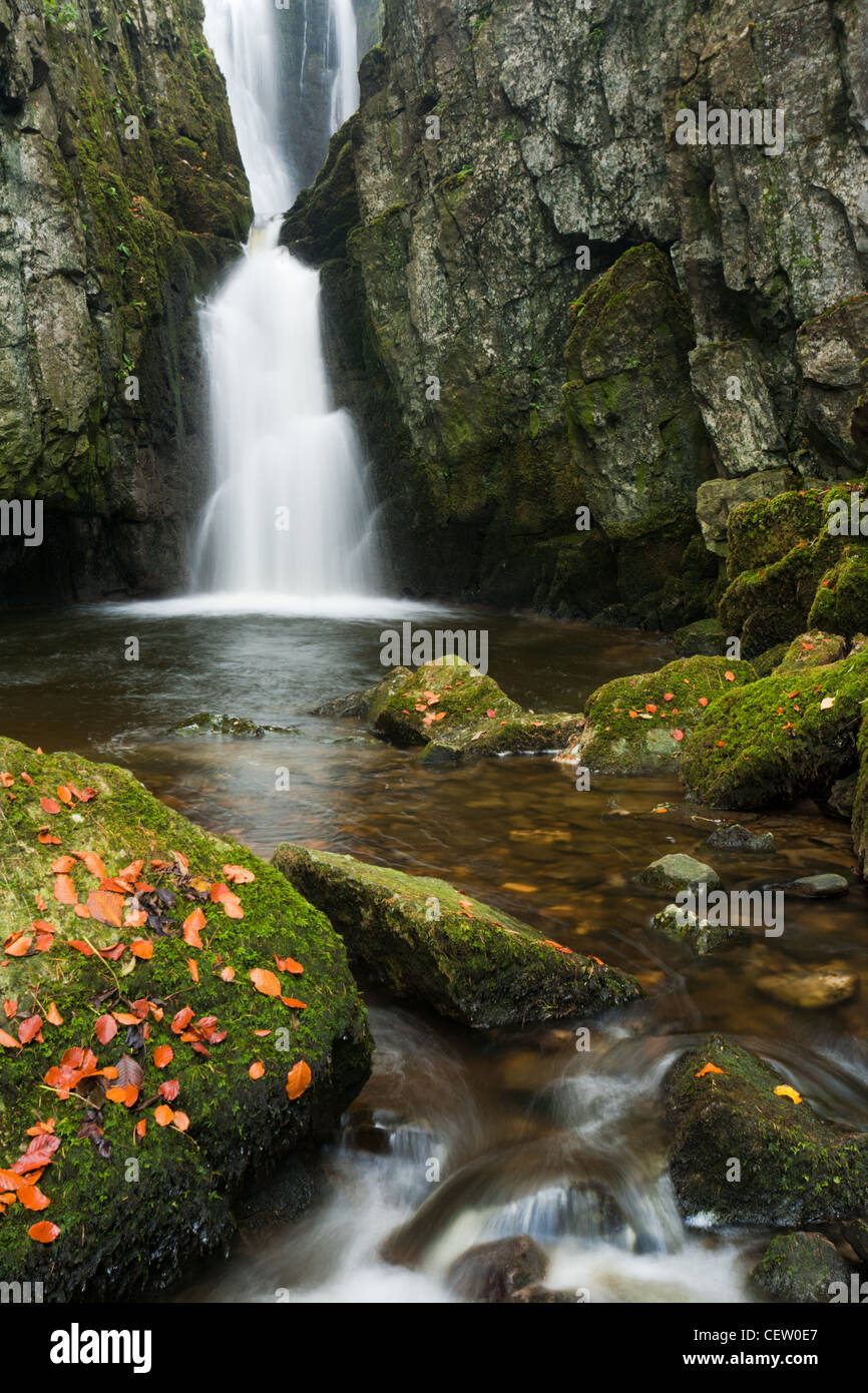 Catrigg Force in Stainforth, North Yorkshire Stock Photo - Alamy
