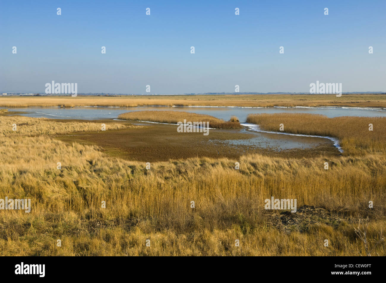 Farlington marshes nature reserve hi-res stock photography and images ...