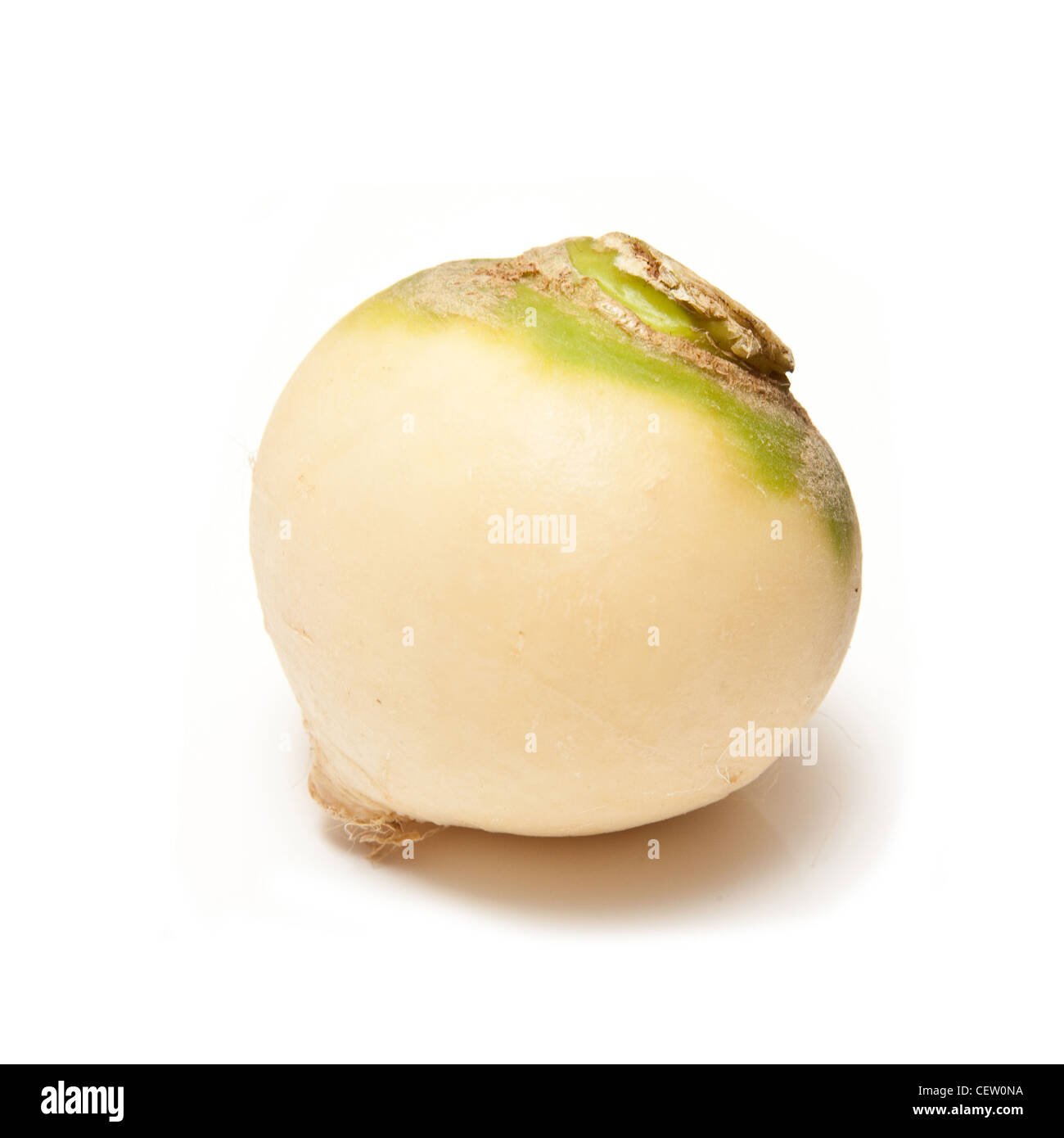 Turnip hi-res stock photography and images - Alamy