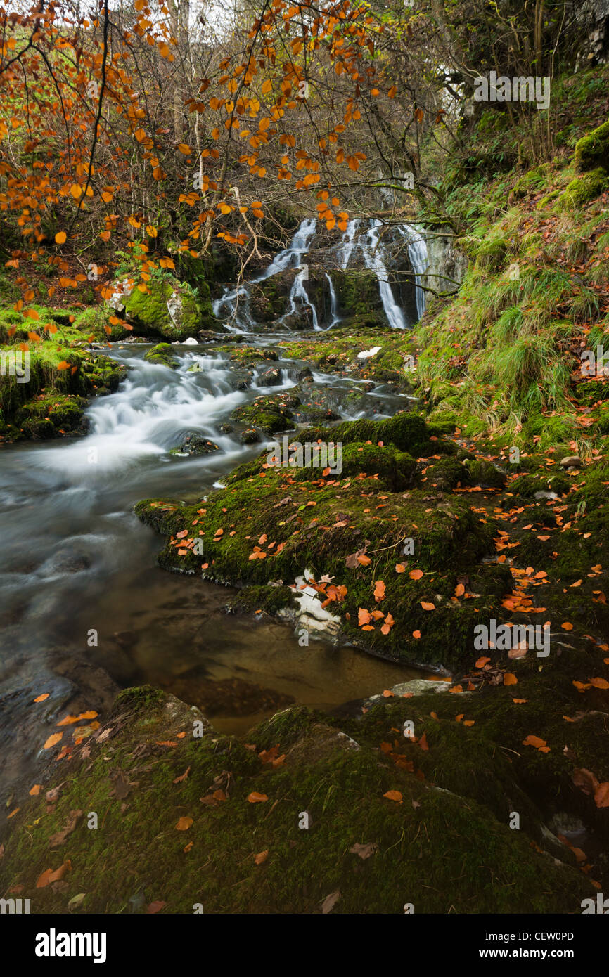 Catrigg Force in Stainforth, North Yorkshire Stock Photo - Alamy