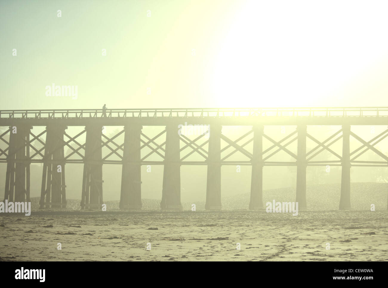 morning on ocean coast Stock Photo - Alamy