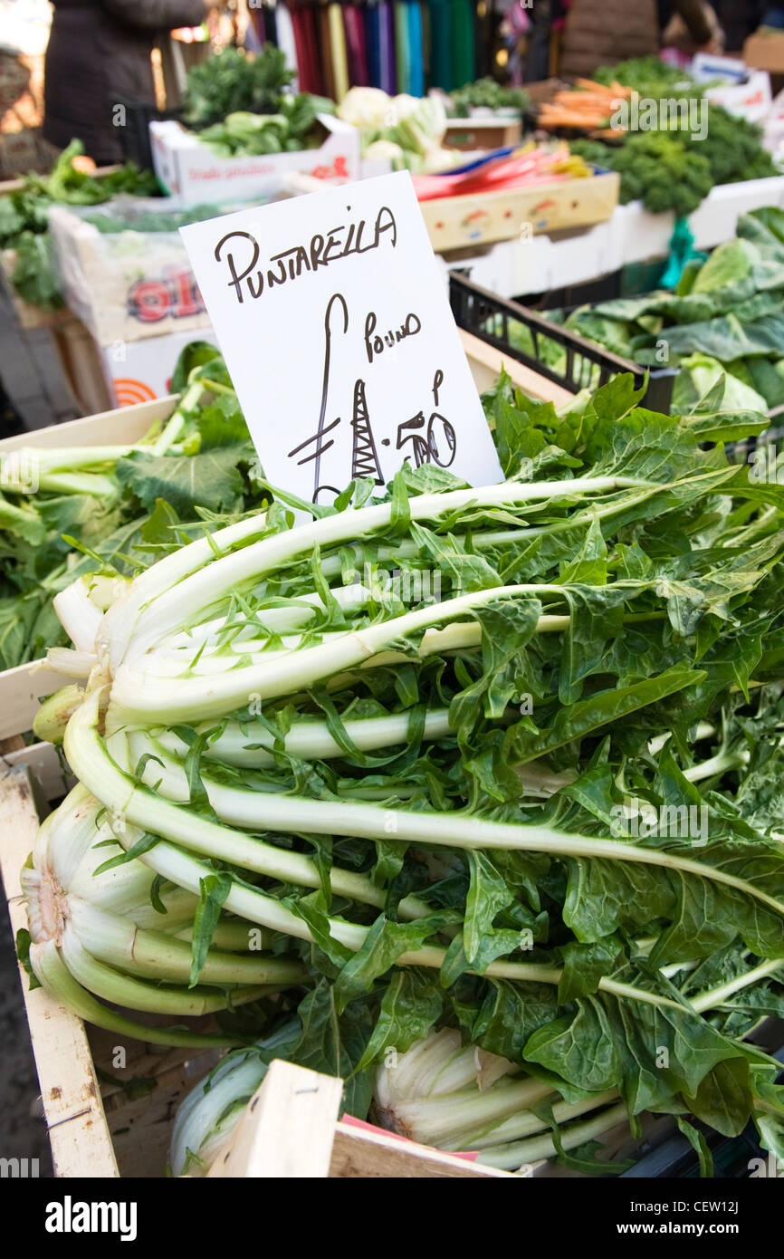 Puntarella hi-res stock photography and images - Alamy