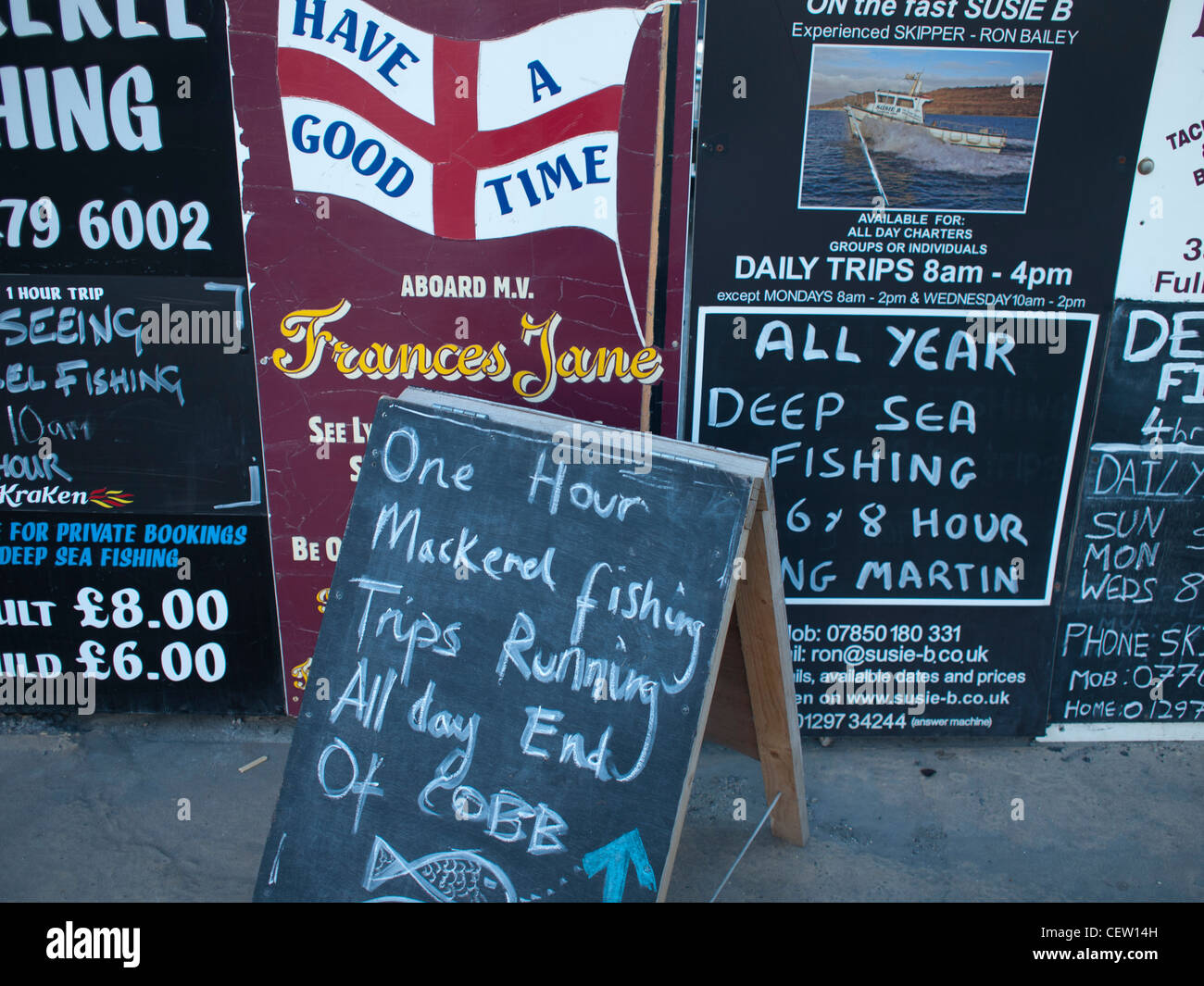 Signs advertising fishing trips at Lyme Regis, Dorset Stock Photo - Alamy