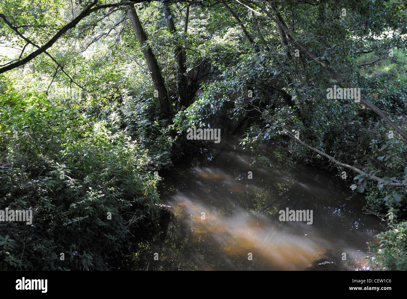 The countryside in Compton Dando Bath and Northeast Somerset England UK ...