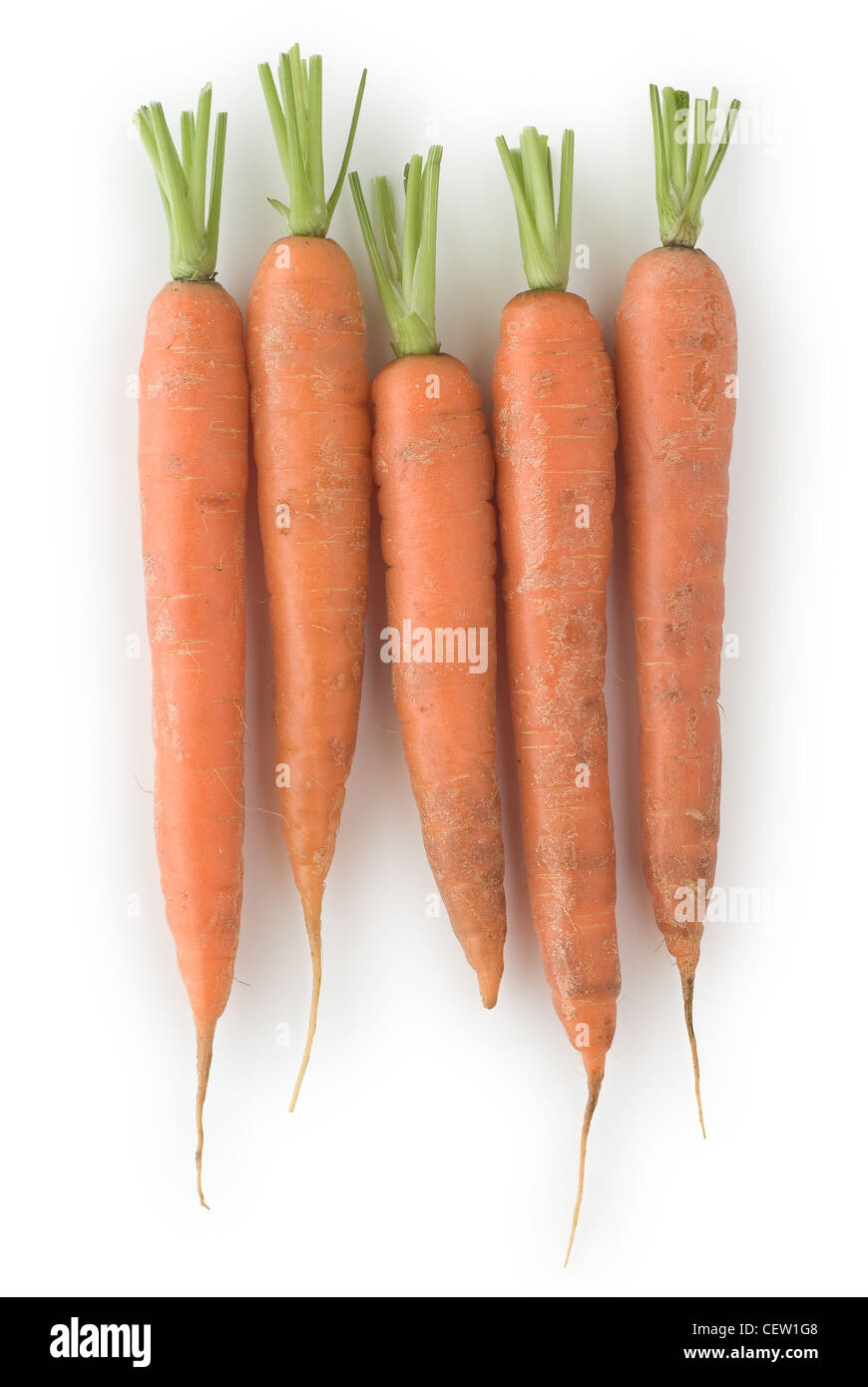 Whole Carrots as a Healthy and Nutritious Vegetable Stock Photo - Alamy