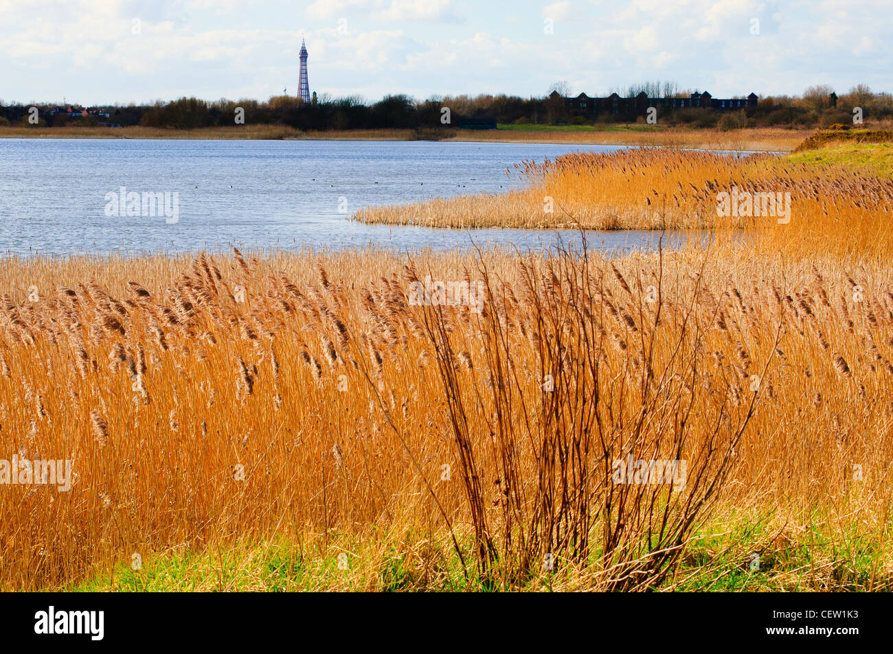 Marton mere blackpool hi-res stock photography and images - Alamy