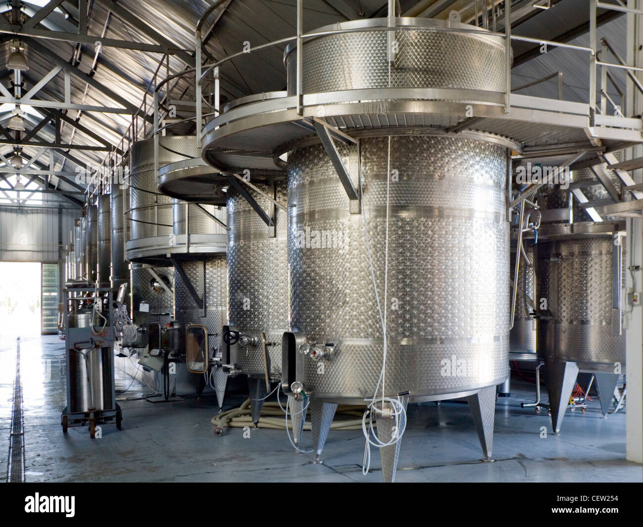 Chile. South America. Steel fermentation tanks at Casa del Bosque ...