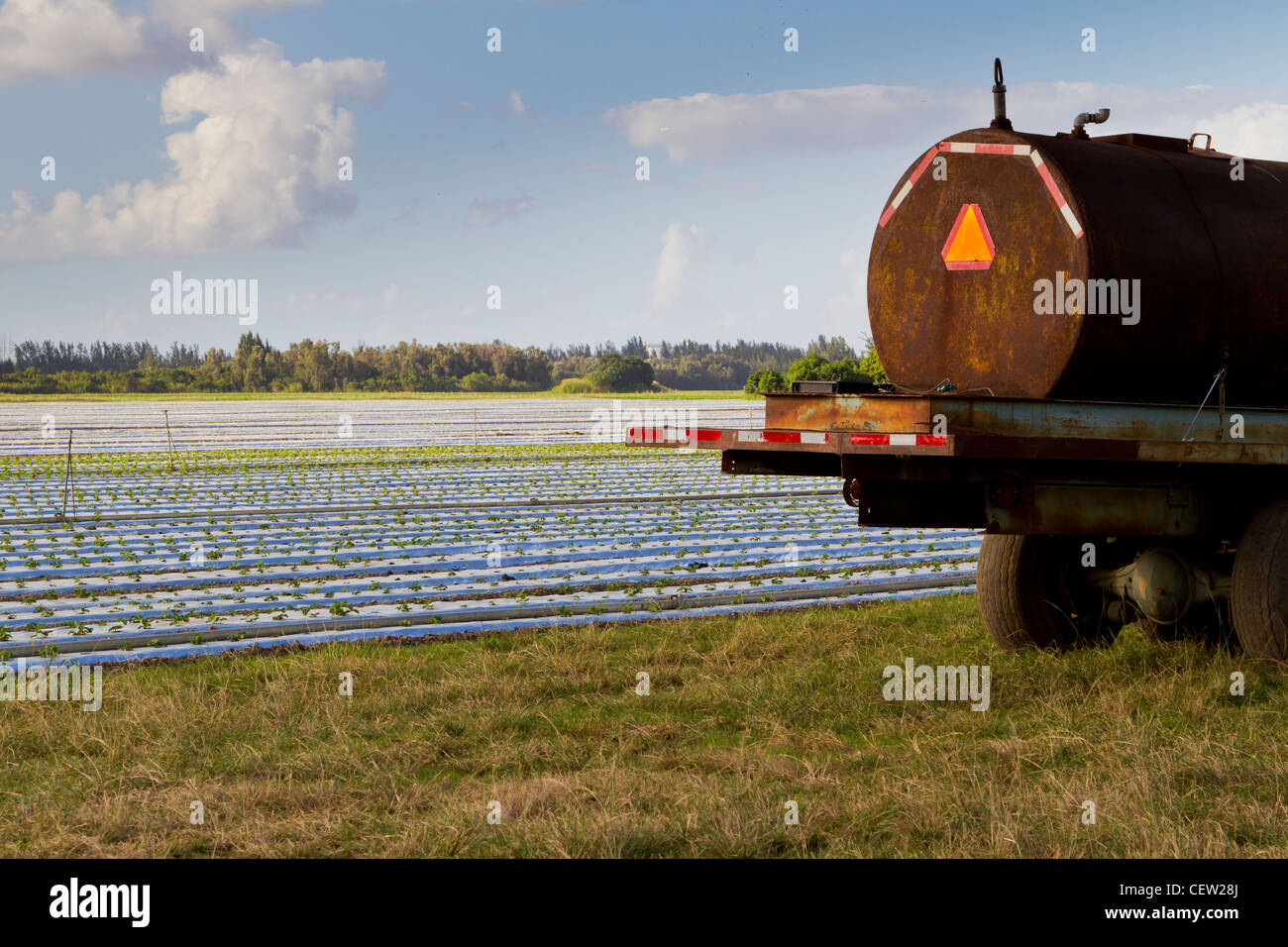 Vintage harvesting equipment hi-res stock photography and images - Alamy