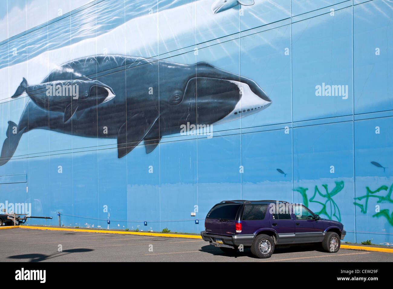 Whale graffiti. Parking lot. Anchorage. Alaska. USA Stock Photo - Alamy