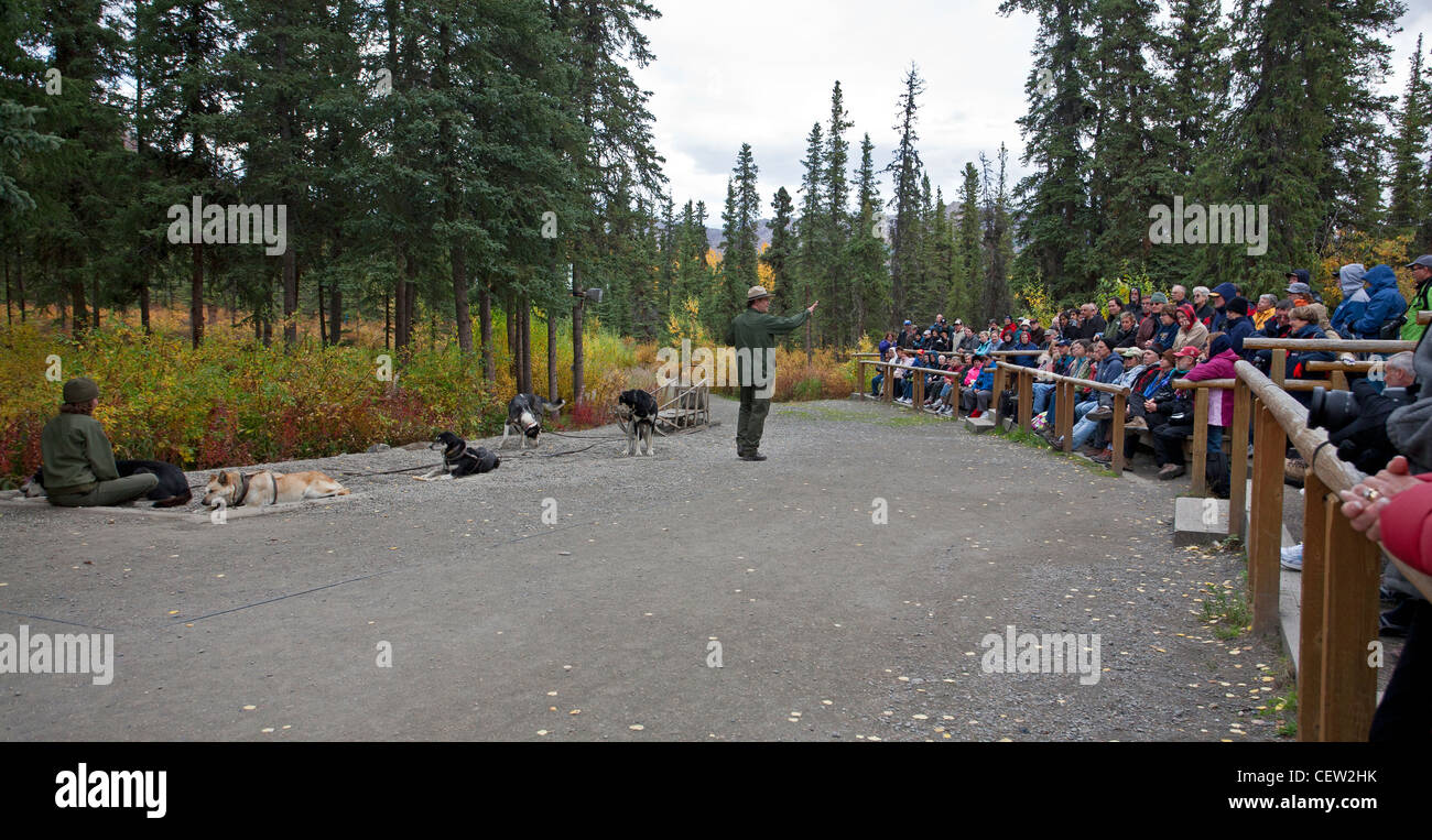 Denali park ranger hi-res stock photography and images - Alamy