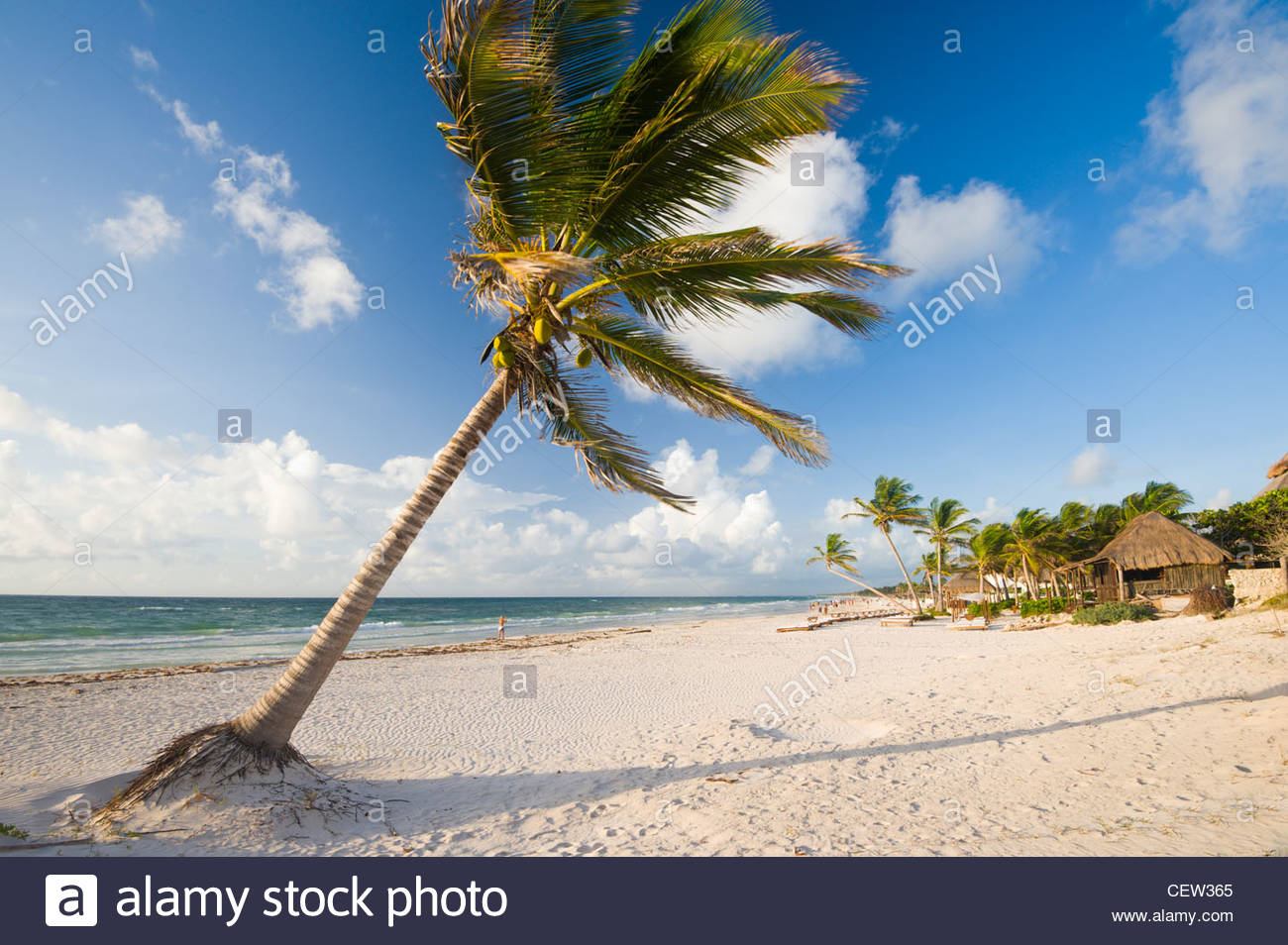 Mexico Peninsula Yucatan Tulum Coast High Resolution Stock Photography ...
