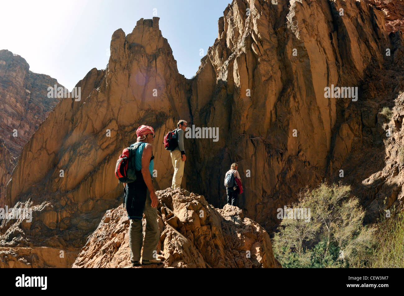 People hiking in the desert Stock Photo - Alamy