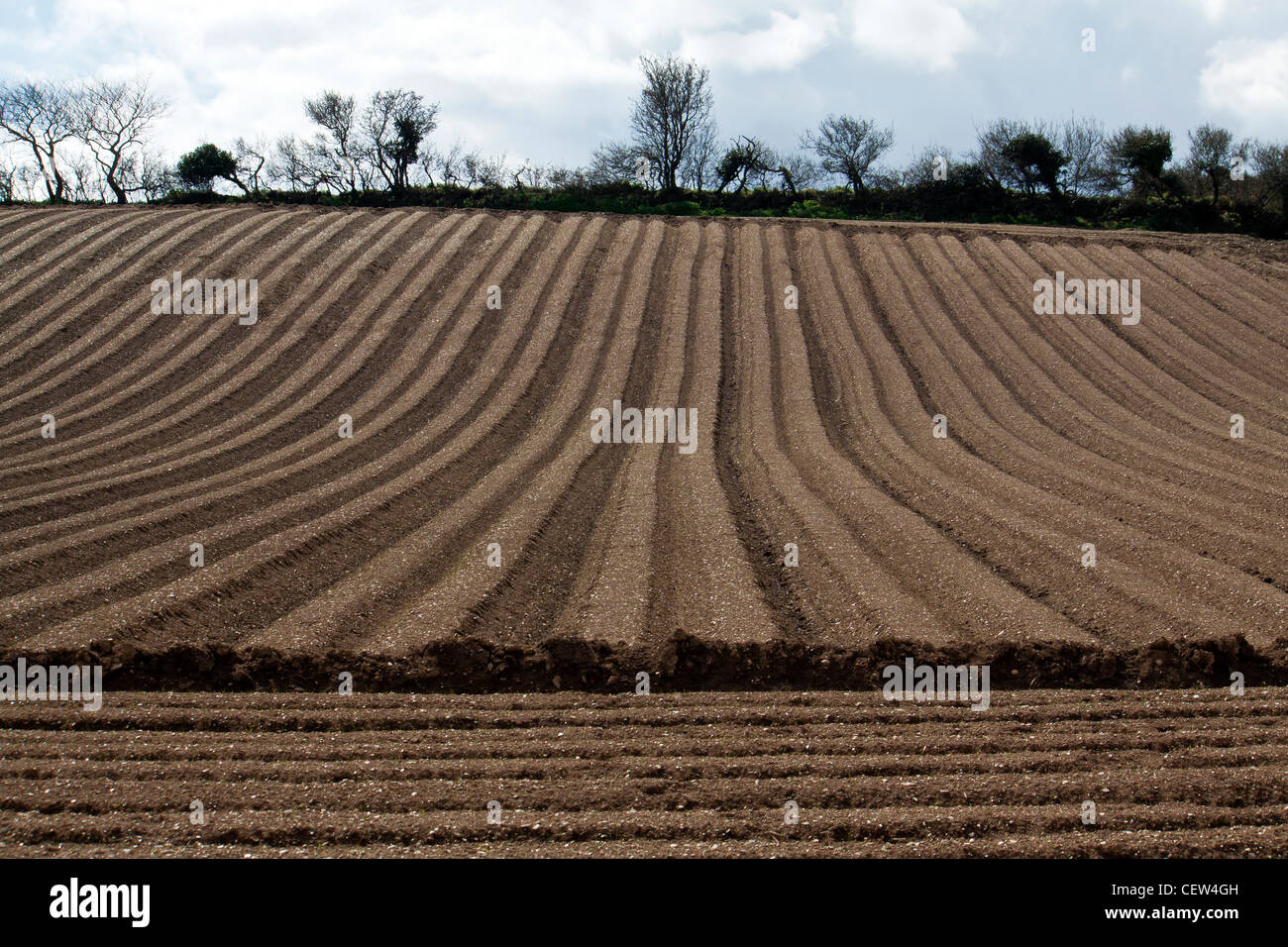 Distant field uk hi-res stock photography and images - Alamy