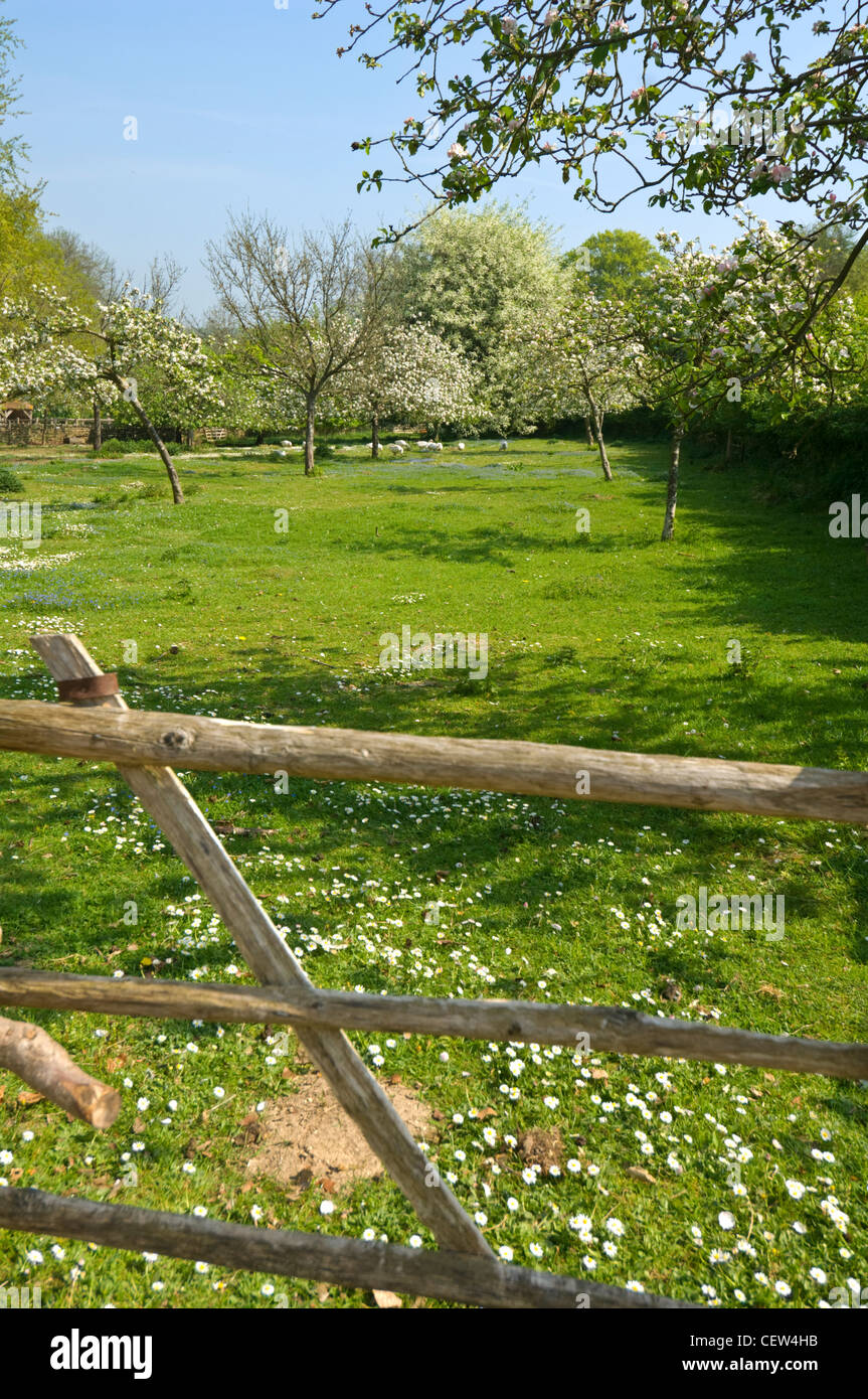 West Orchard High Resolution Stock Photography and Images - Alamy