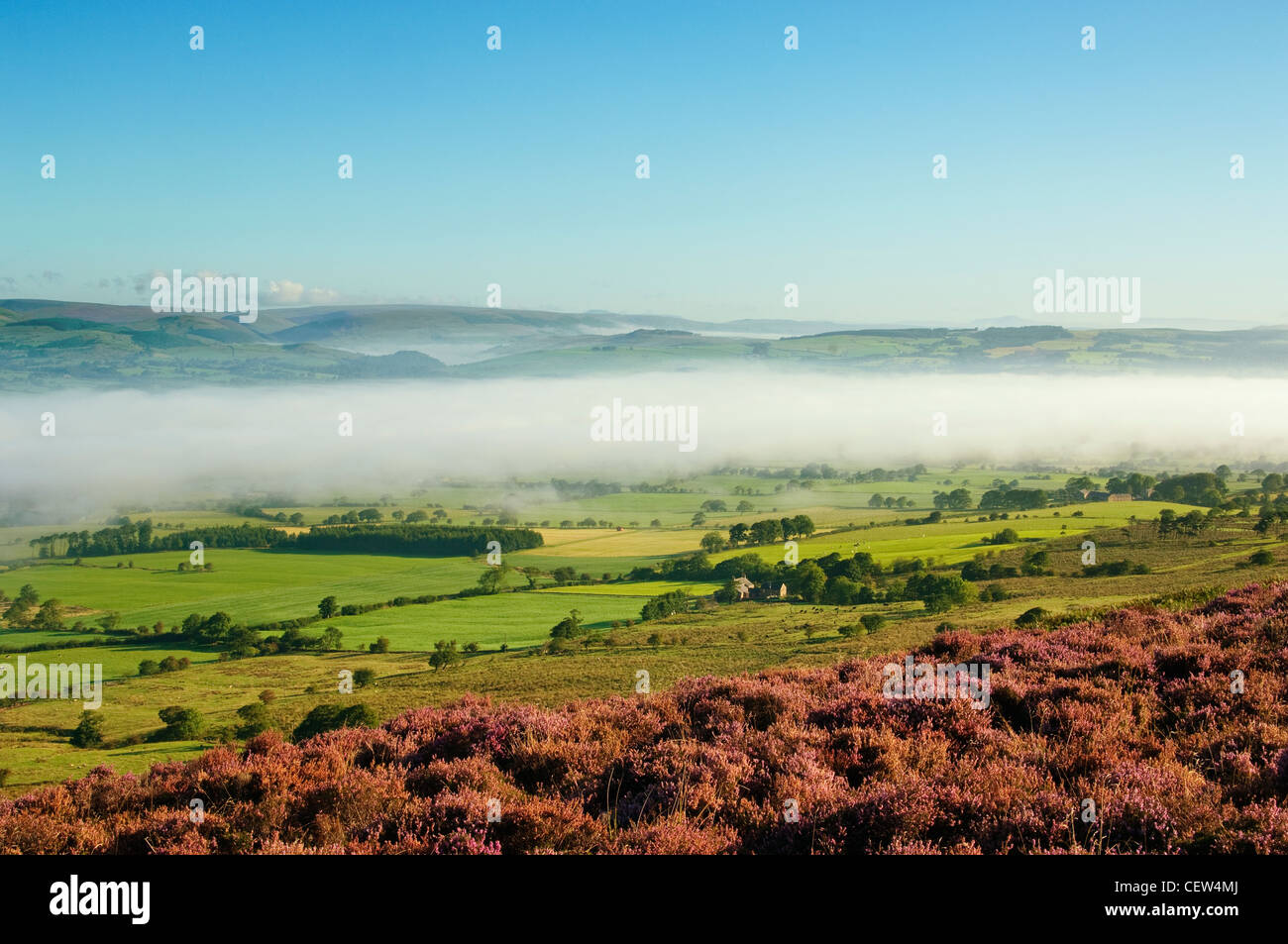 The loud house hi-res stock photography and images - Alamy