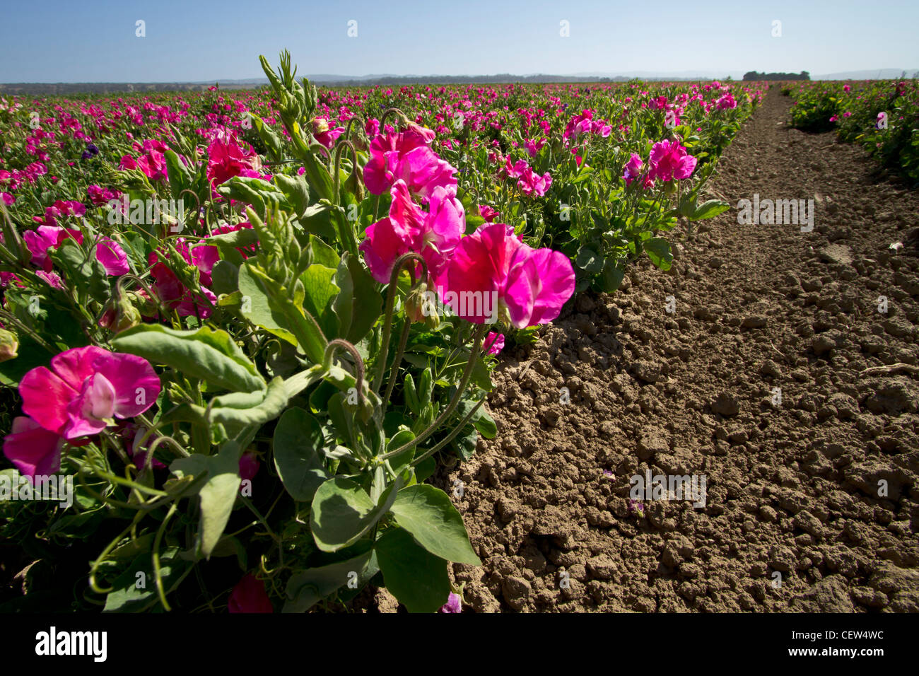 Rob Sheppard High Resolution Stock Photography and Images - Alamy