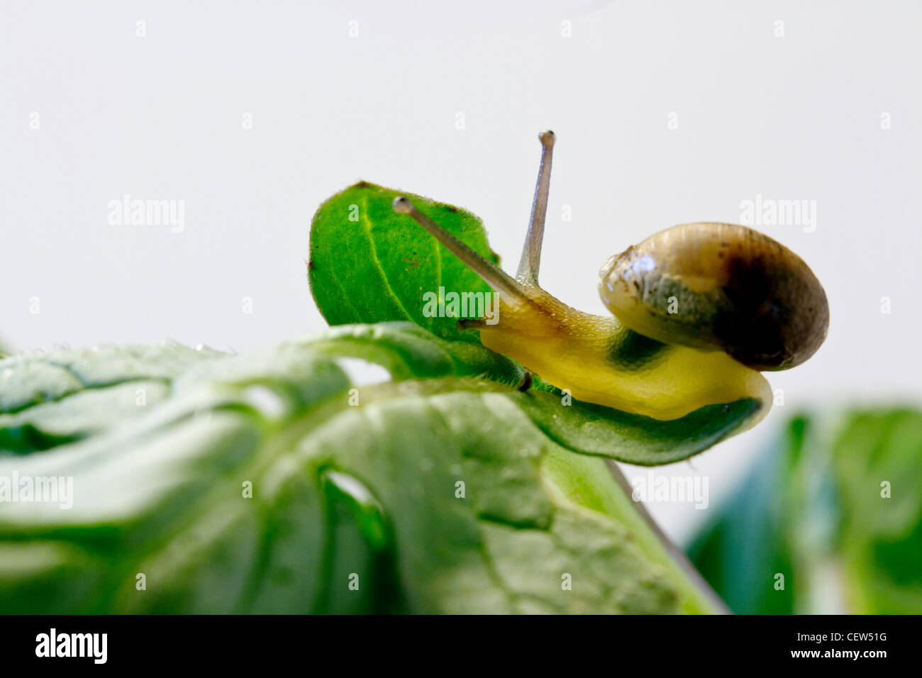 Rob Sheppard High Resolution Stock Photography and Images - Alamy