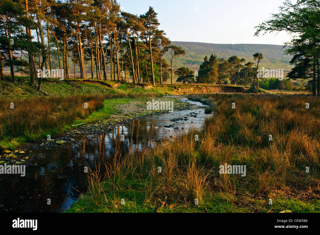 Wyre forest hi-res stock photography and images - Alamy