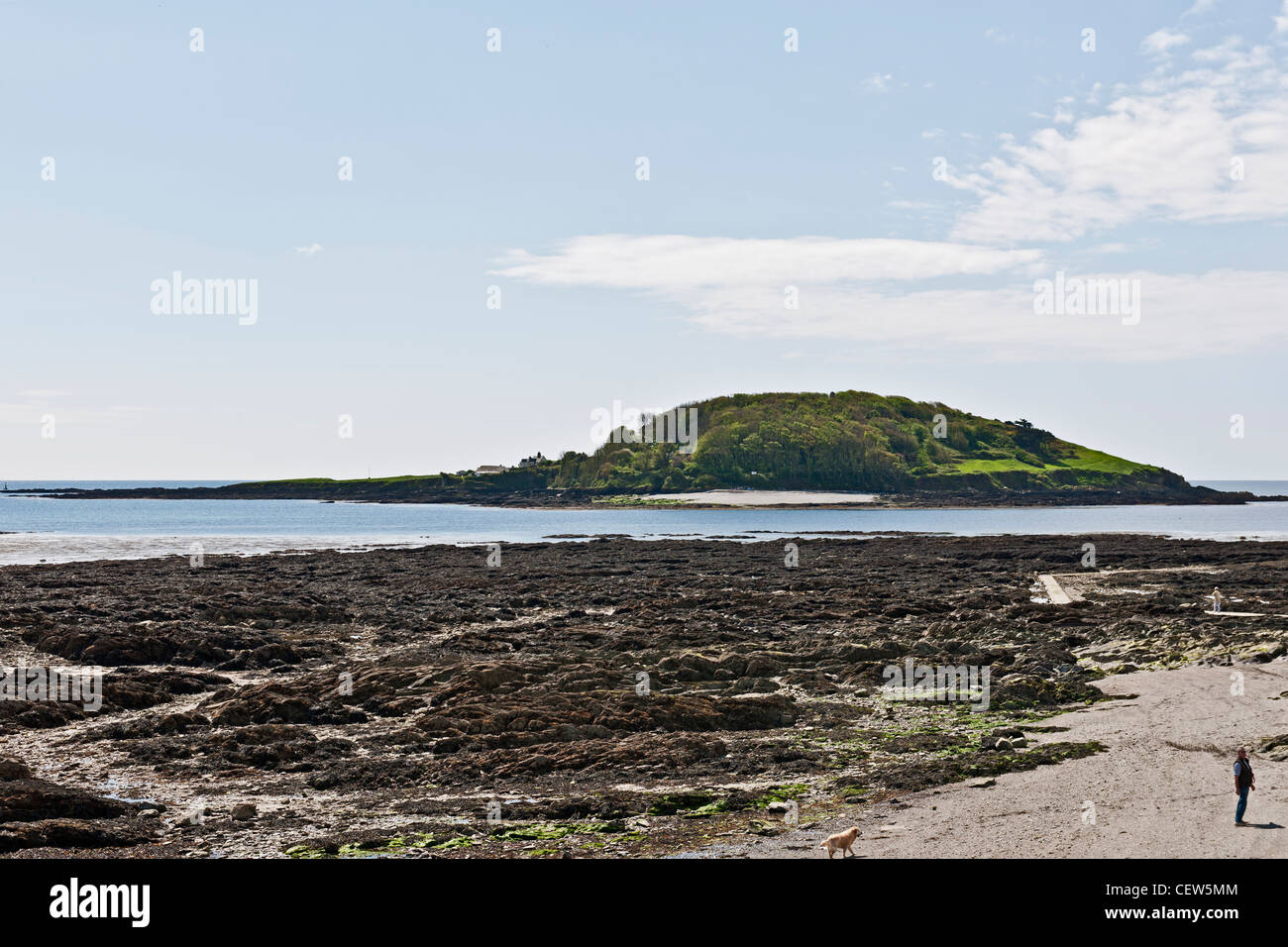 Looe, Looe Island, from Hannafore, Cornwall, Great Britain, UK Stock ...