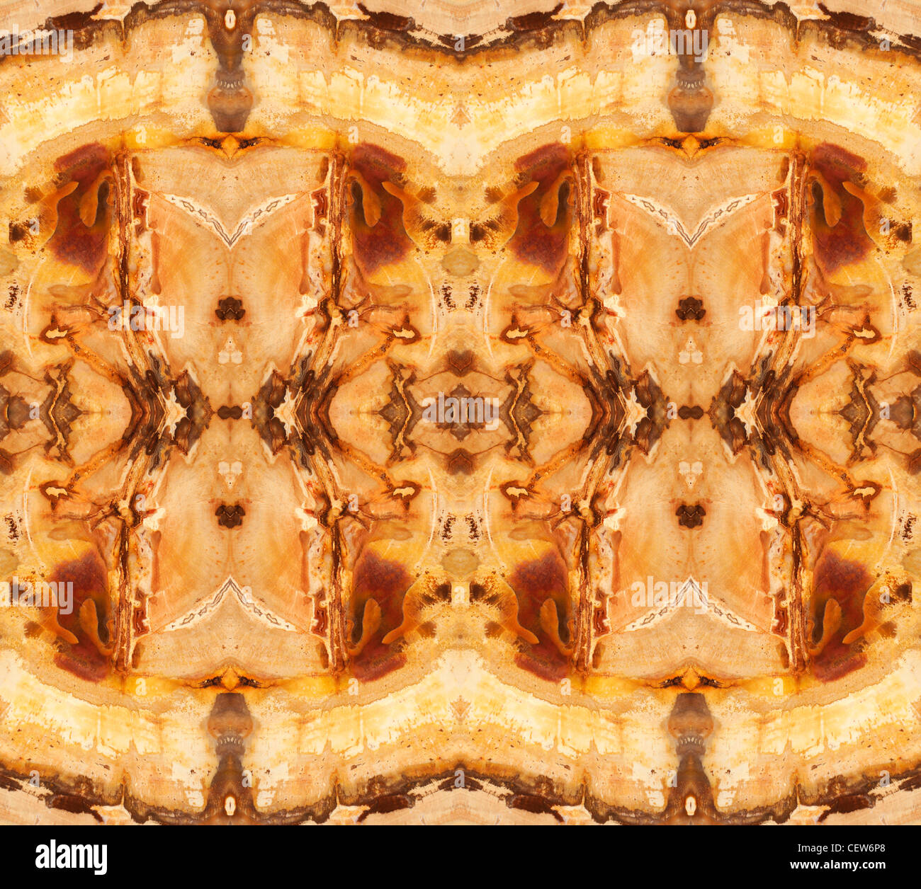 Repeating pattern in nature hi-res stock photography and images - Alamy