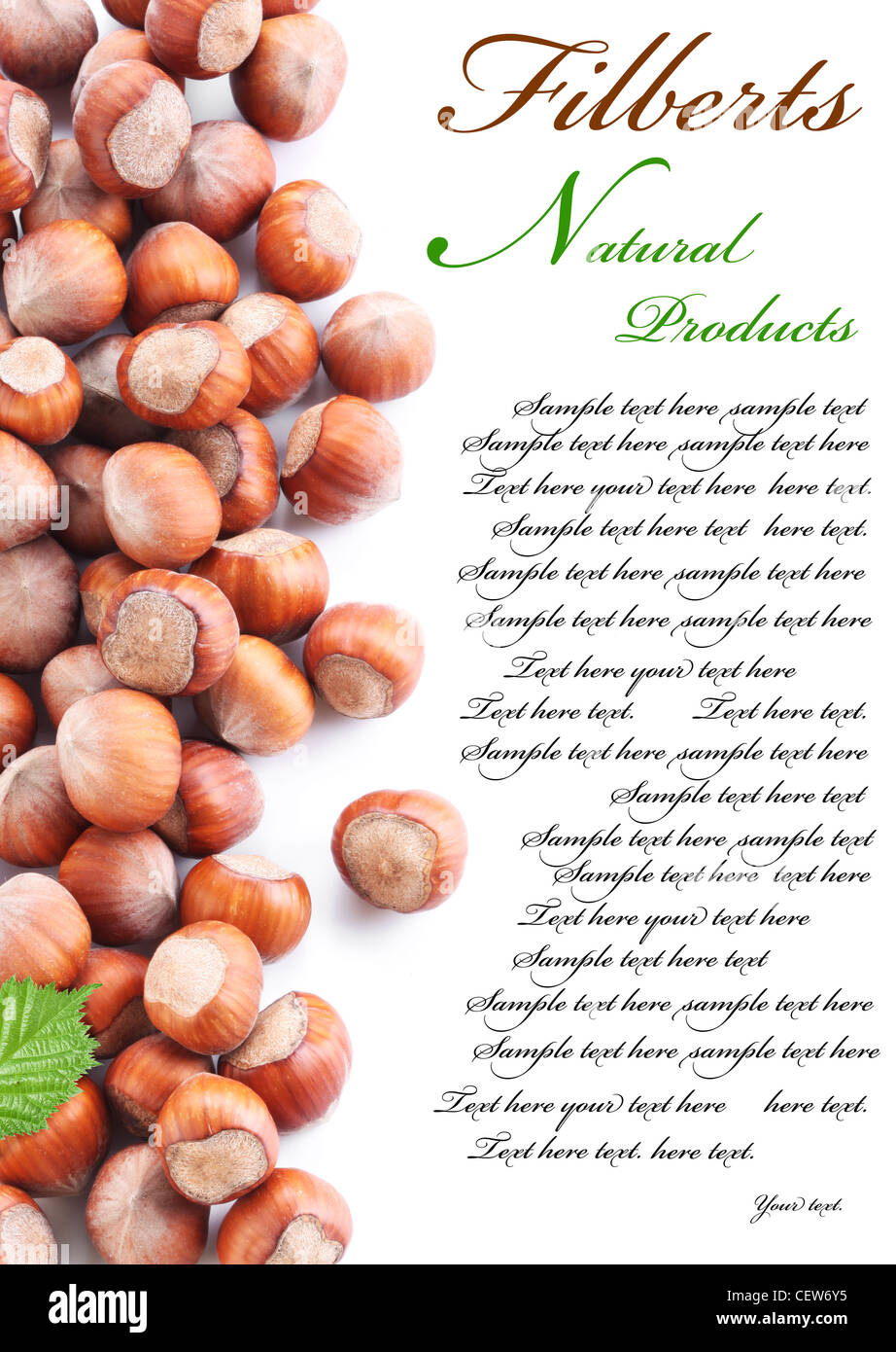 Nuts filberts isolated on white background. Space for text on the right ...