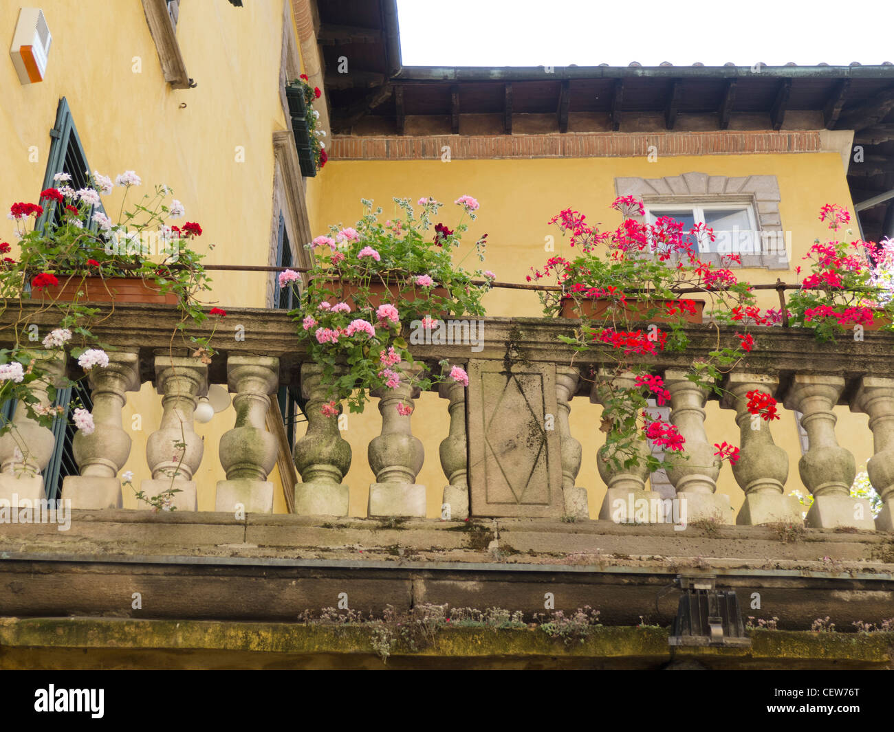 Balcony with potted Geraniums in Lucca , Tuscany, Italy Stock Photo - Alamy